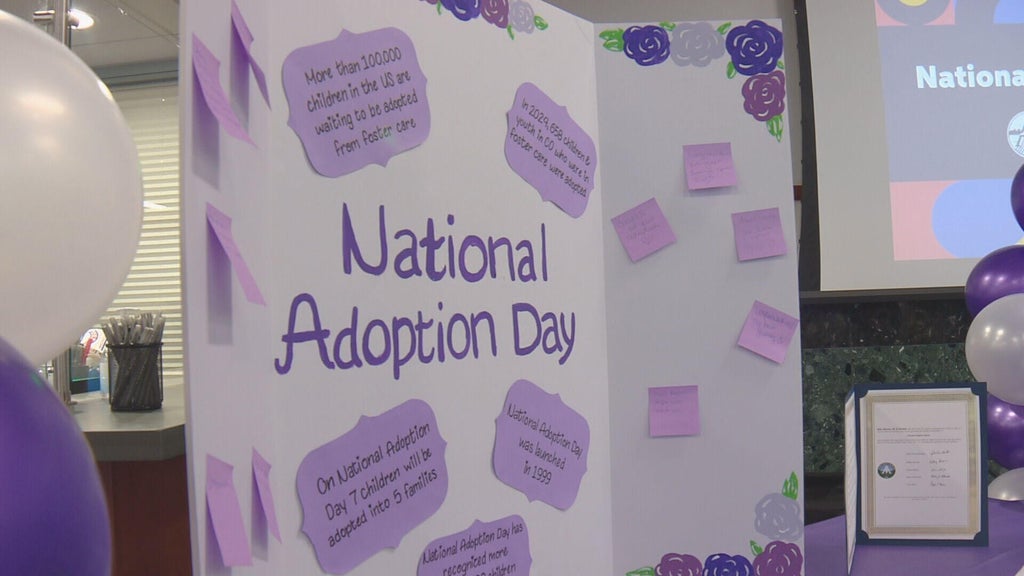 November is Adoption Awareness Month across Colorado