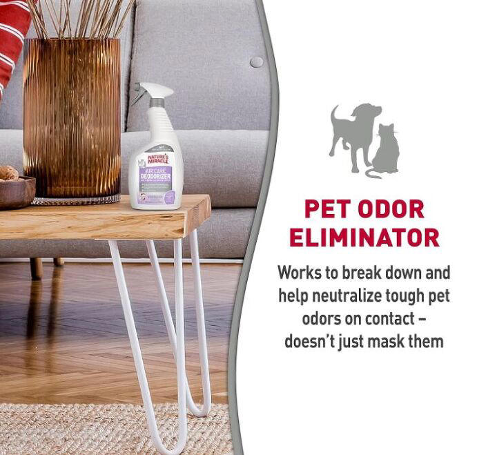 4 Must-Have Cleaning Items If You're a Pet Parent
