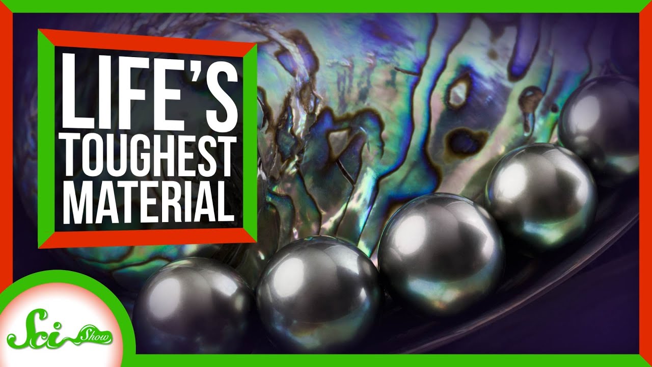 The secrets of life’s toughest material
