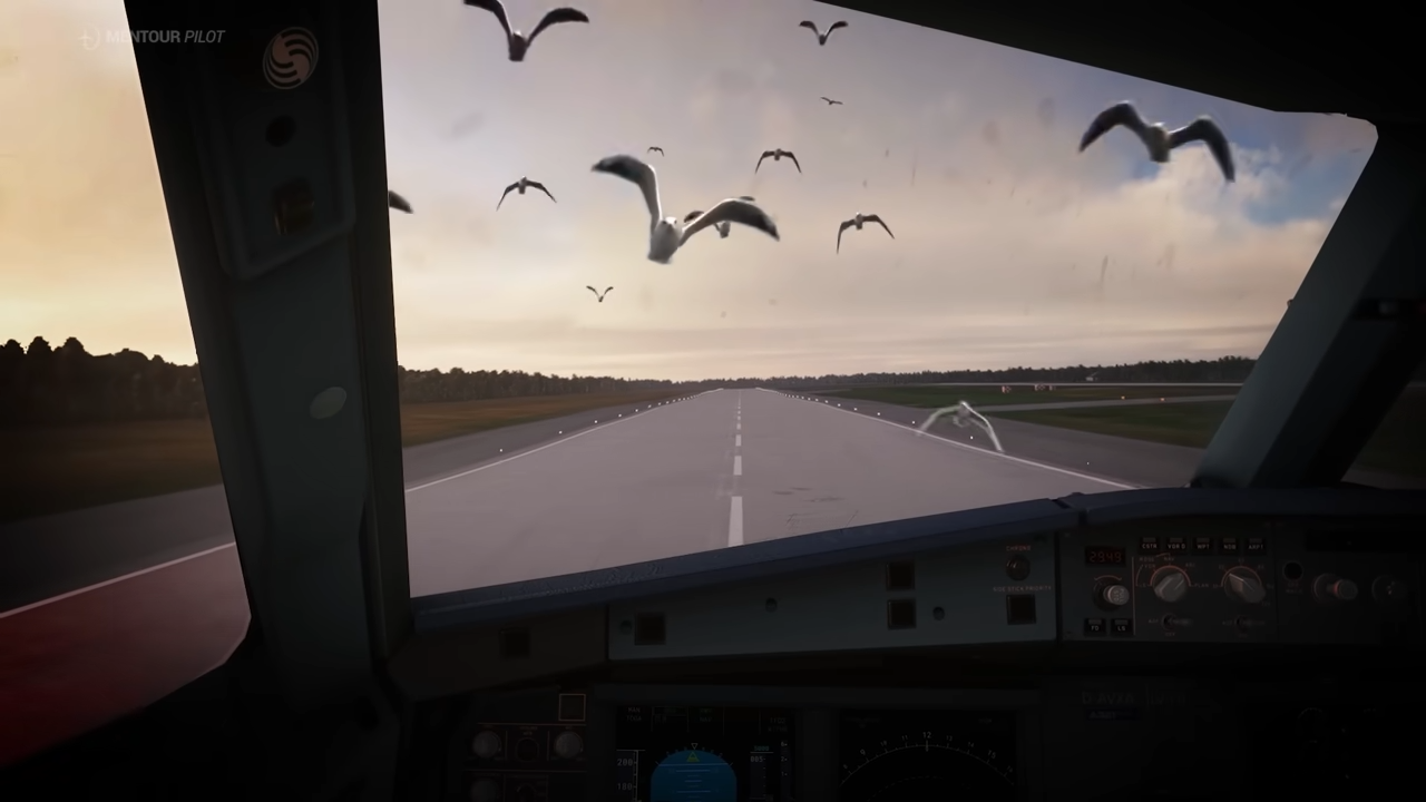 How a Passenger Jet Crashed Just Seconds After Takeoff After Hitting Birds