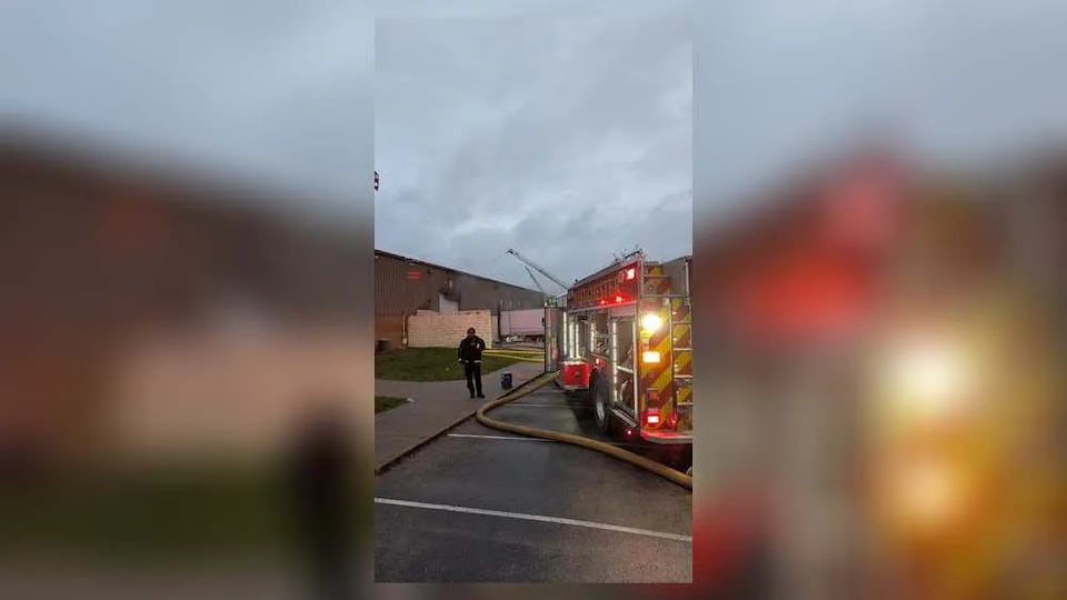 Fire causes part of roof to collapse at area business building