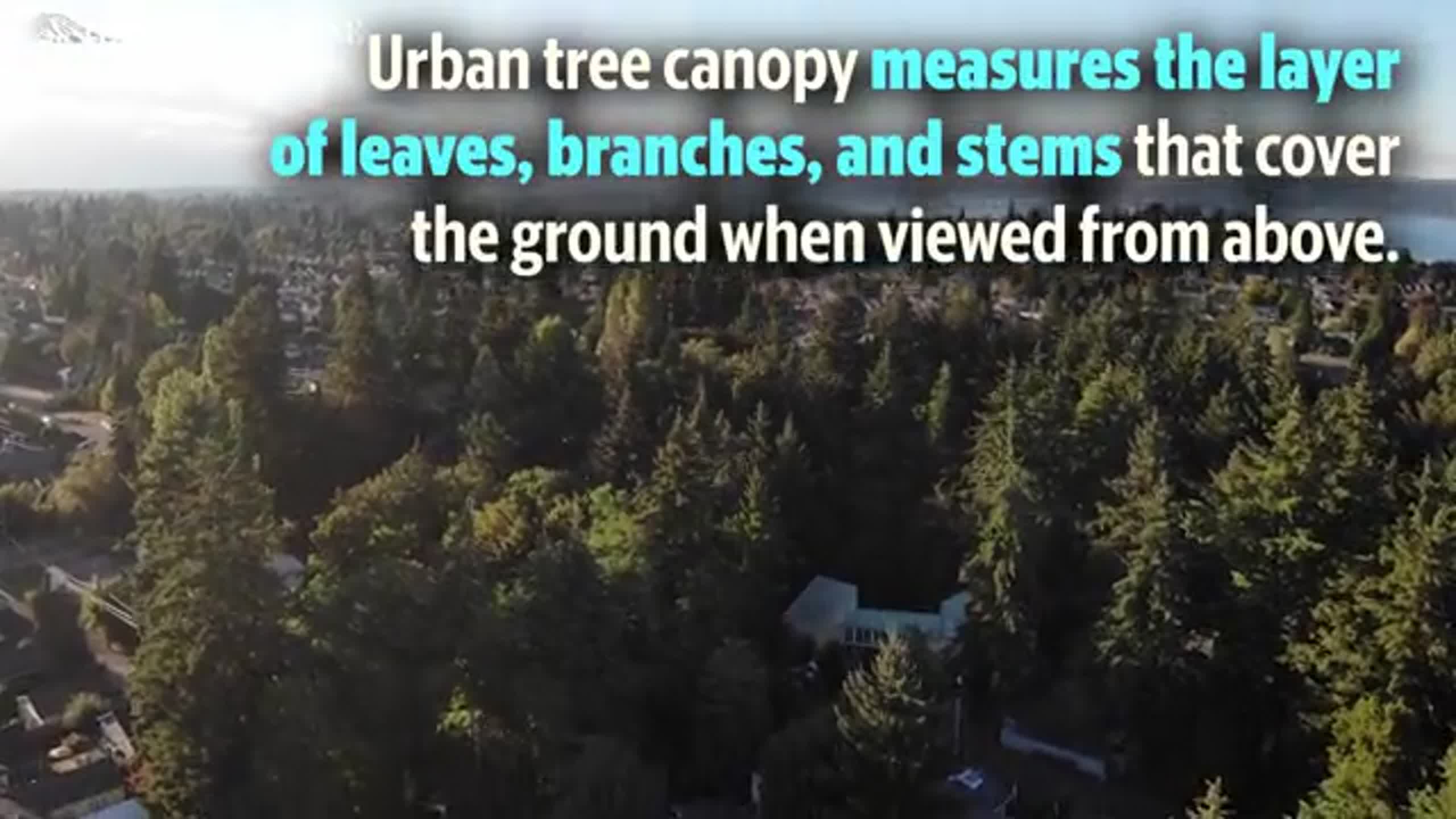 Hikers to get more trails near major Pierce County park after 20 acres ...
