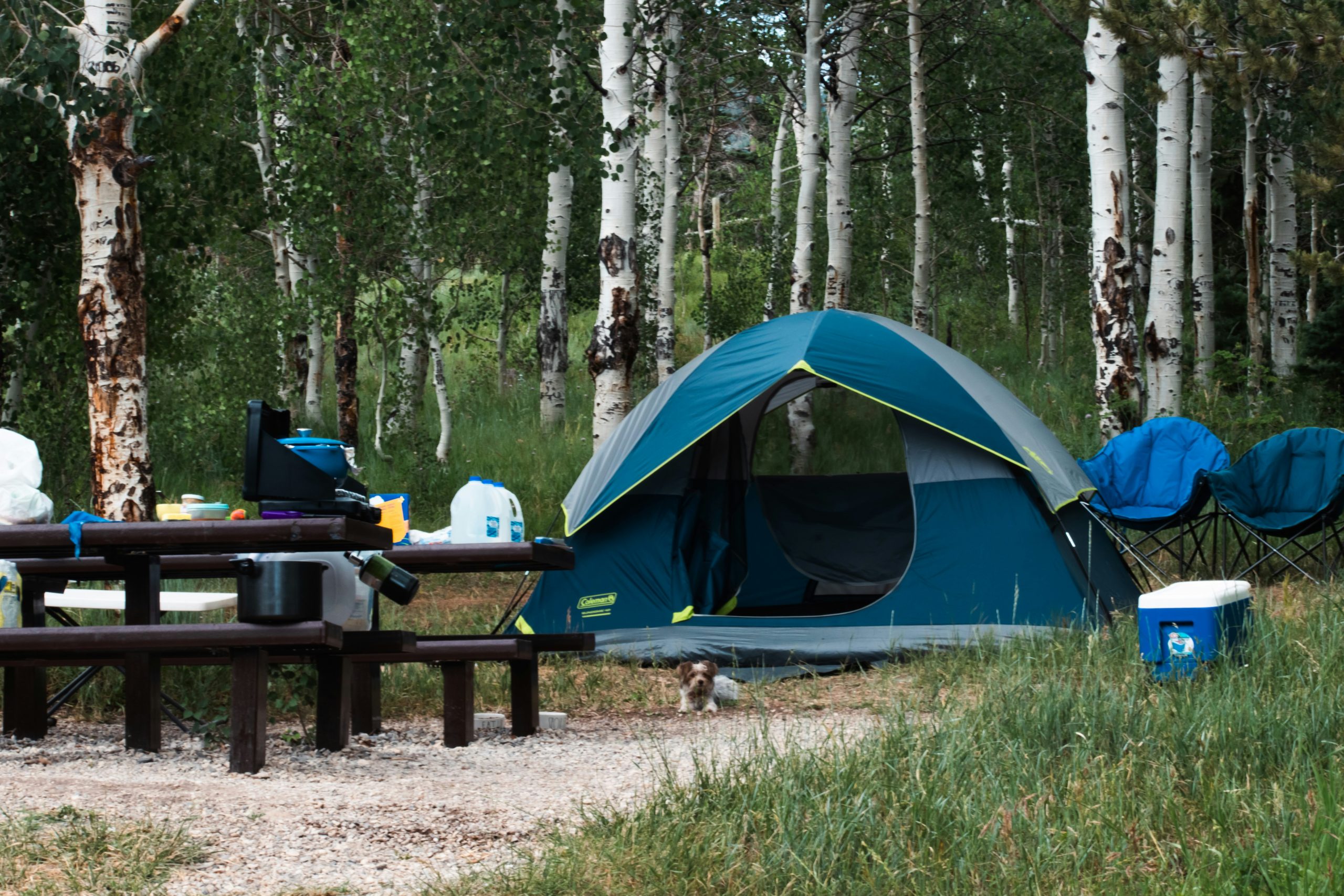 20 Problems You Might Face on a Family Camping Trip and How to Prepare