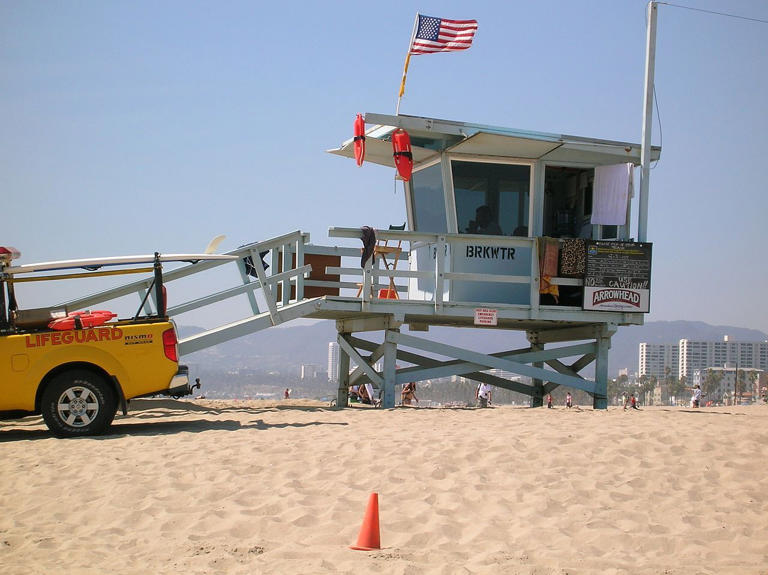 Baywatch Comeback Moves Forward While Questions Remain About Venice ...