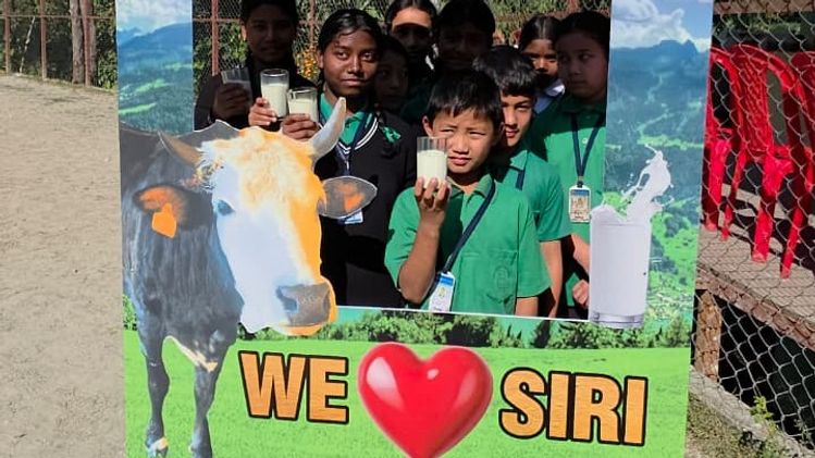 Sikkim livestock development board celebrates National Milk Day at ...
