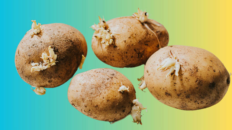 “Don’t Eat These!”: If Your Potatoes Start Looking Like This, Experts ...