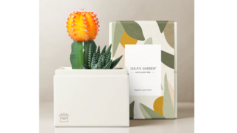 35 stocking stuffer and white elephant gift ideas under $50