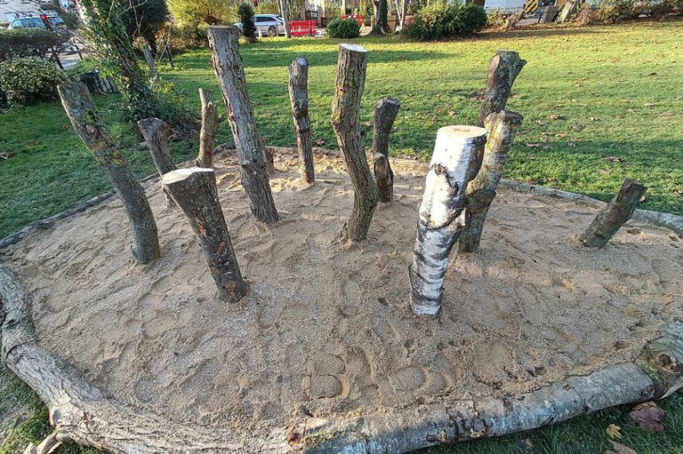 The reason behind the unusual dead wood structure installed in a ...