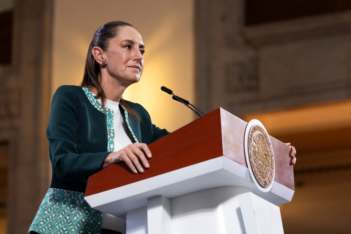 Sheinbaum acusa que algunos agricultores se llevan 300 mdp al año de ...
