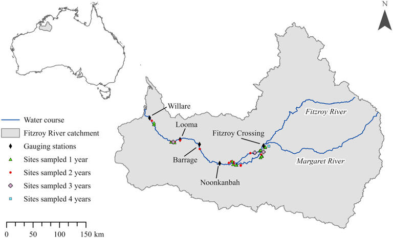 Floods boost fish diversity on river floodplain