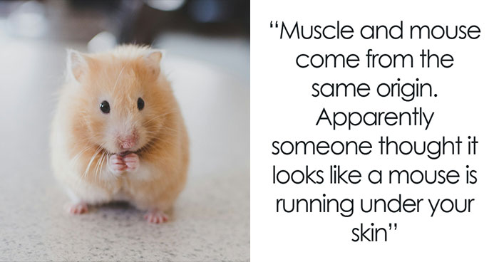 32 Fun Word Origins You Might Want To Drop Into Every Conversation
