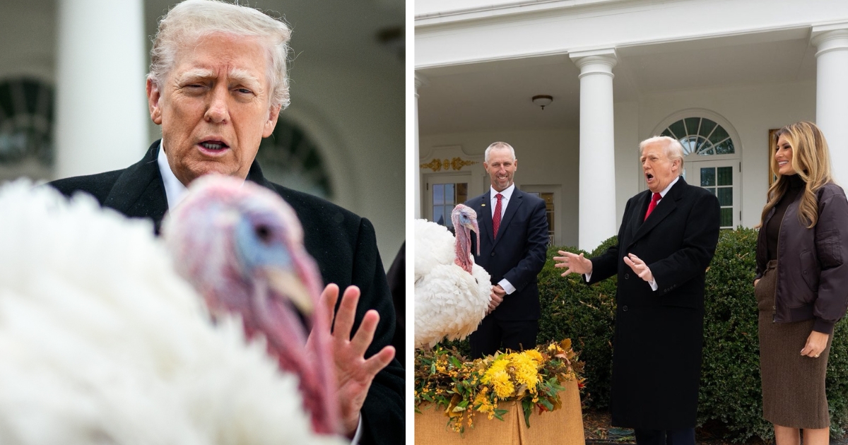 Of Trump, Turkey Pardon, Melania and Memes – Keeping Up with the Internet’s Viral Feast
