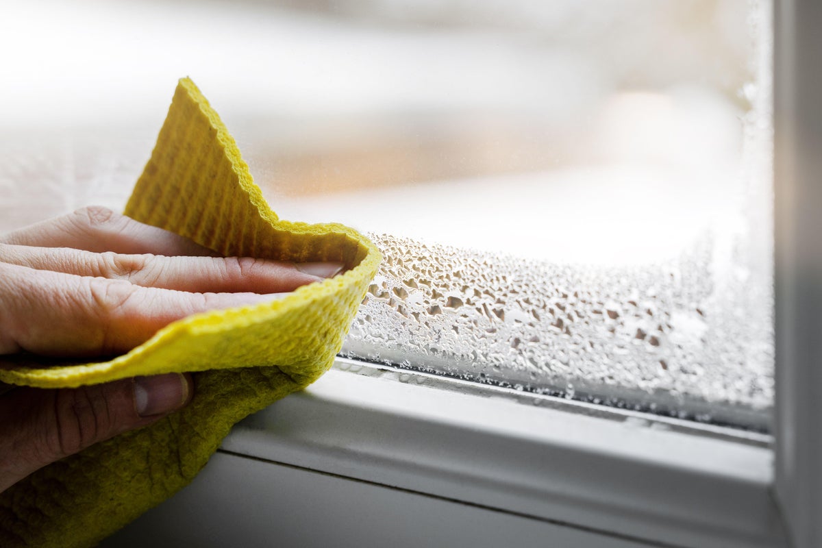How to get rid of condensation on your windows