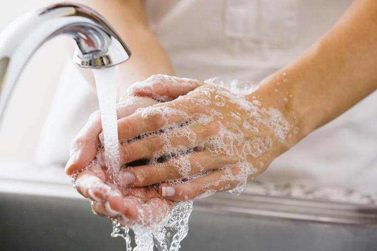 A nasty, hard-to-kill virus is spreading across the country ahead of ...