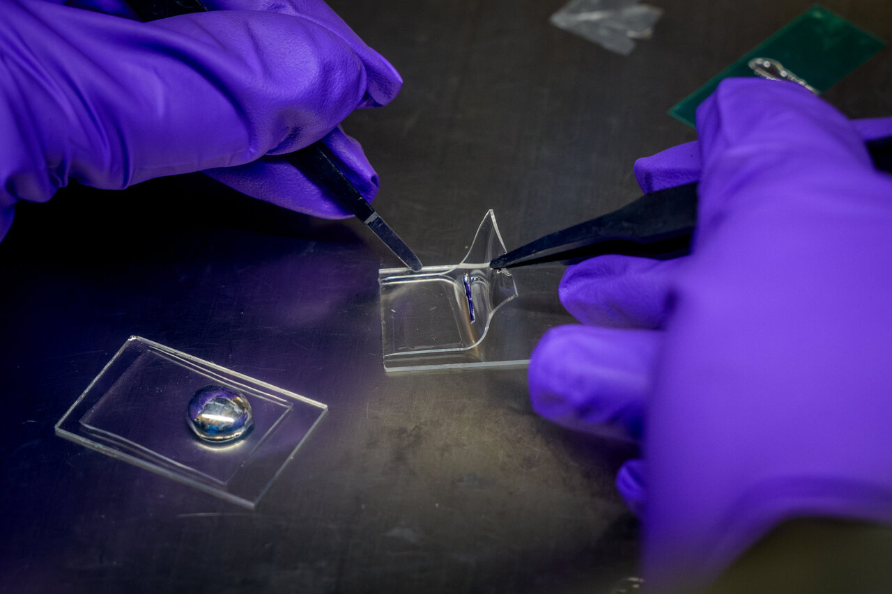 Innovative Materials Boost Stretchable Digital Displays Performance