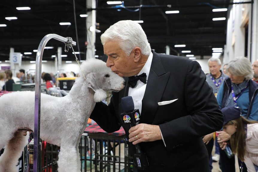 Why You Recognize National Dog Show Host John O'Hurley