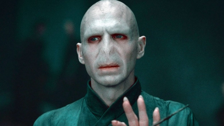 Why Does Voldemort Want To Kill Harry Potter (And How Did He Actually ...