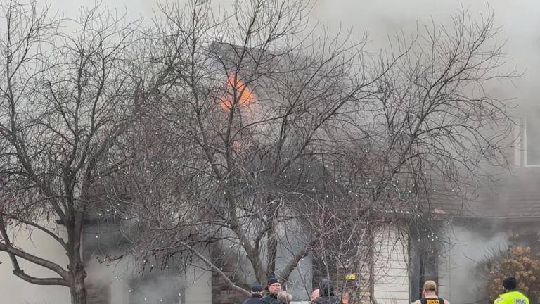 3 dogs rescued during house fire in Dakota Dunes, residents not inside ...