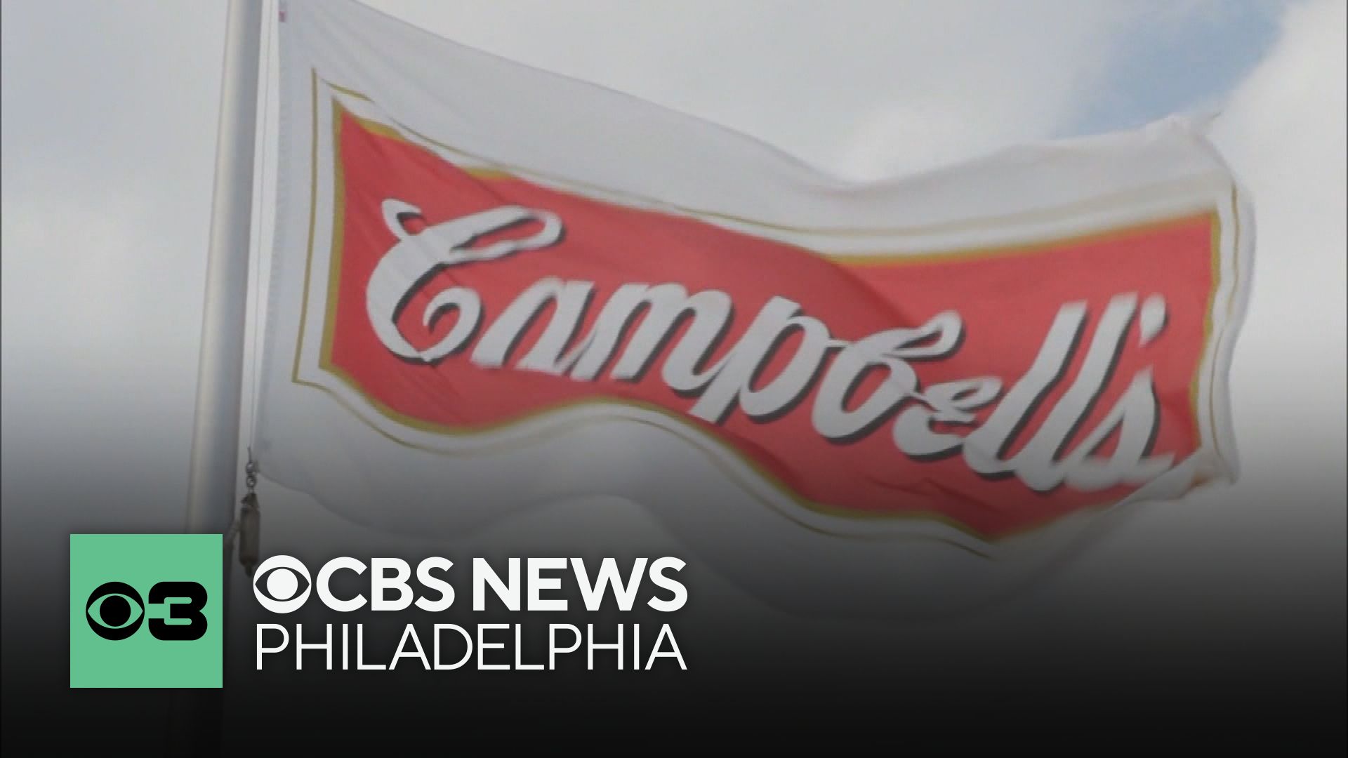 Campbell's executive out after alleged disparaging comments during ...