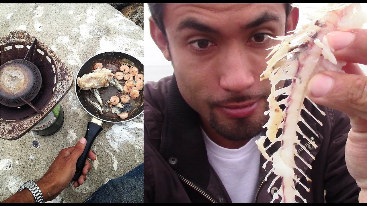 Catch n cook - Step 1: Catch bait, Step 2: Catch fish, Step 3: Eat it