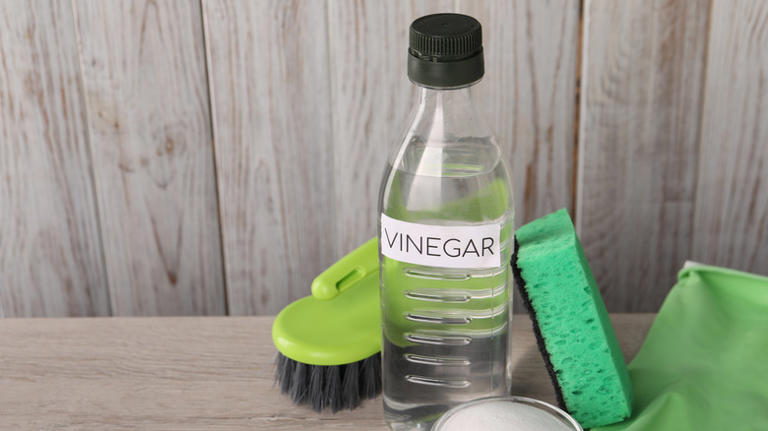 14 Common Cleaning Products You Should Never Mix With Bleach