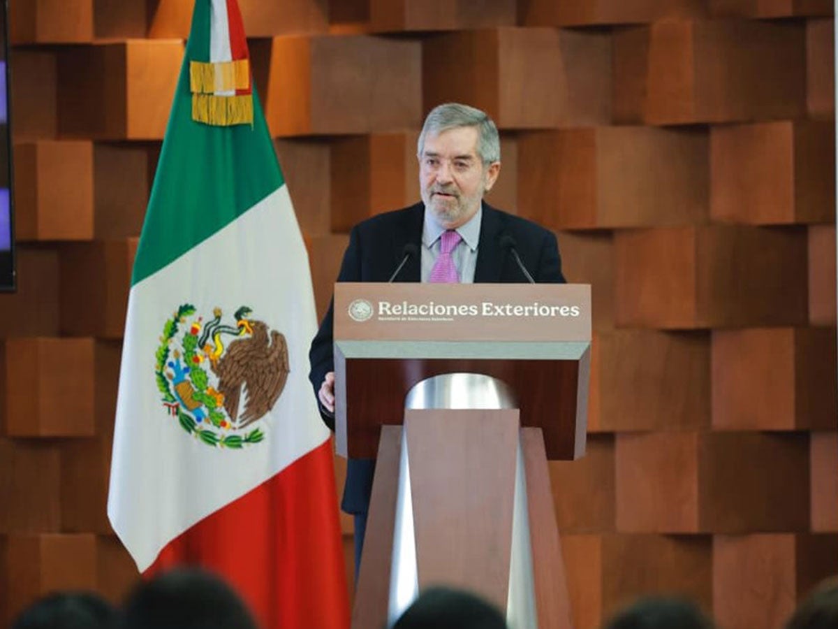 Juan Ramón de la Fuente defiende figura de asilo diplomático como ...