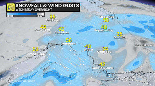 As much as 40 cm could fall as winter storm wallops northern Ontario