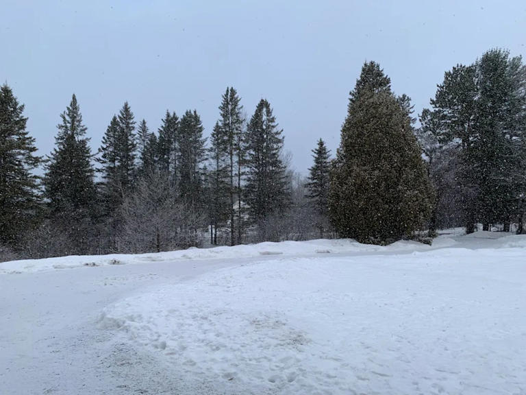 As much as 40 cm could fall as winter storm wallops northern Ontario