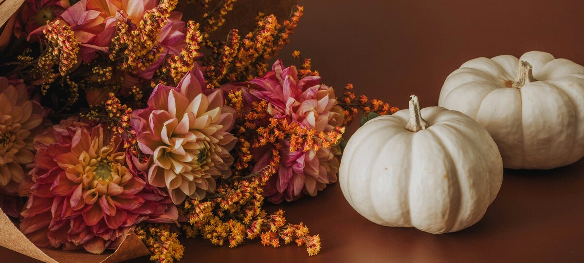 The Zen of Thanksgiving