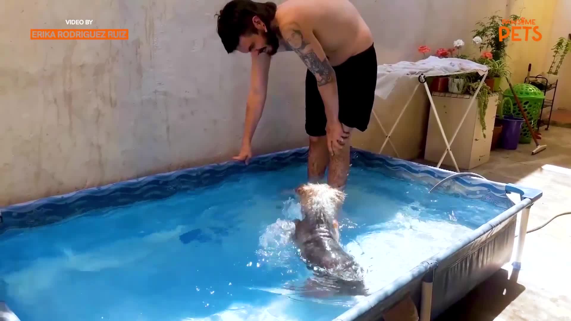 Dog swims for first time since losing eyesight