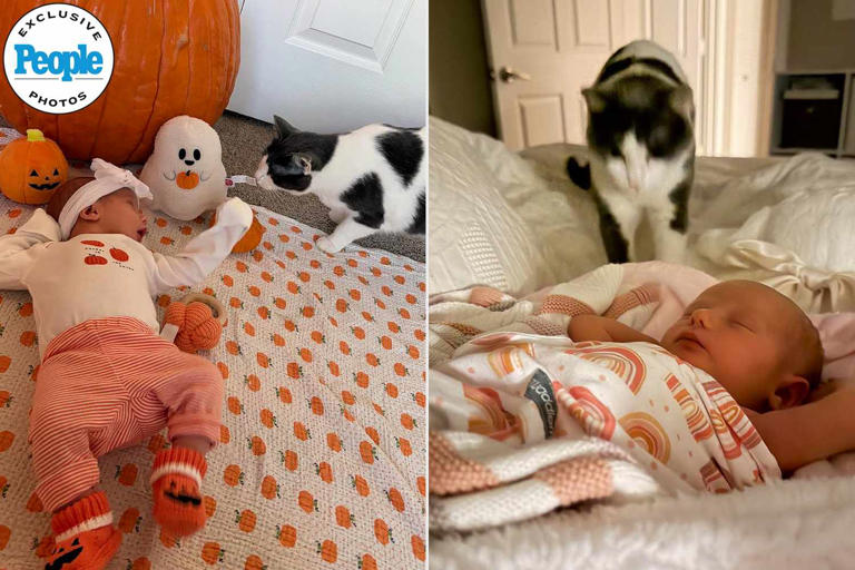Mom's Beloved Cat Acted a Little 'Strange' When She Was Pregnant. Now ...