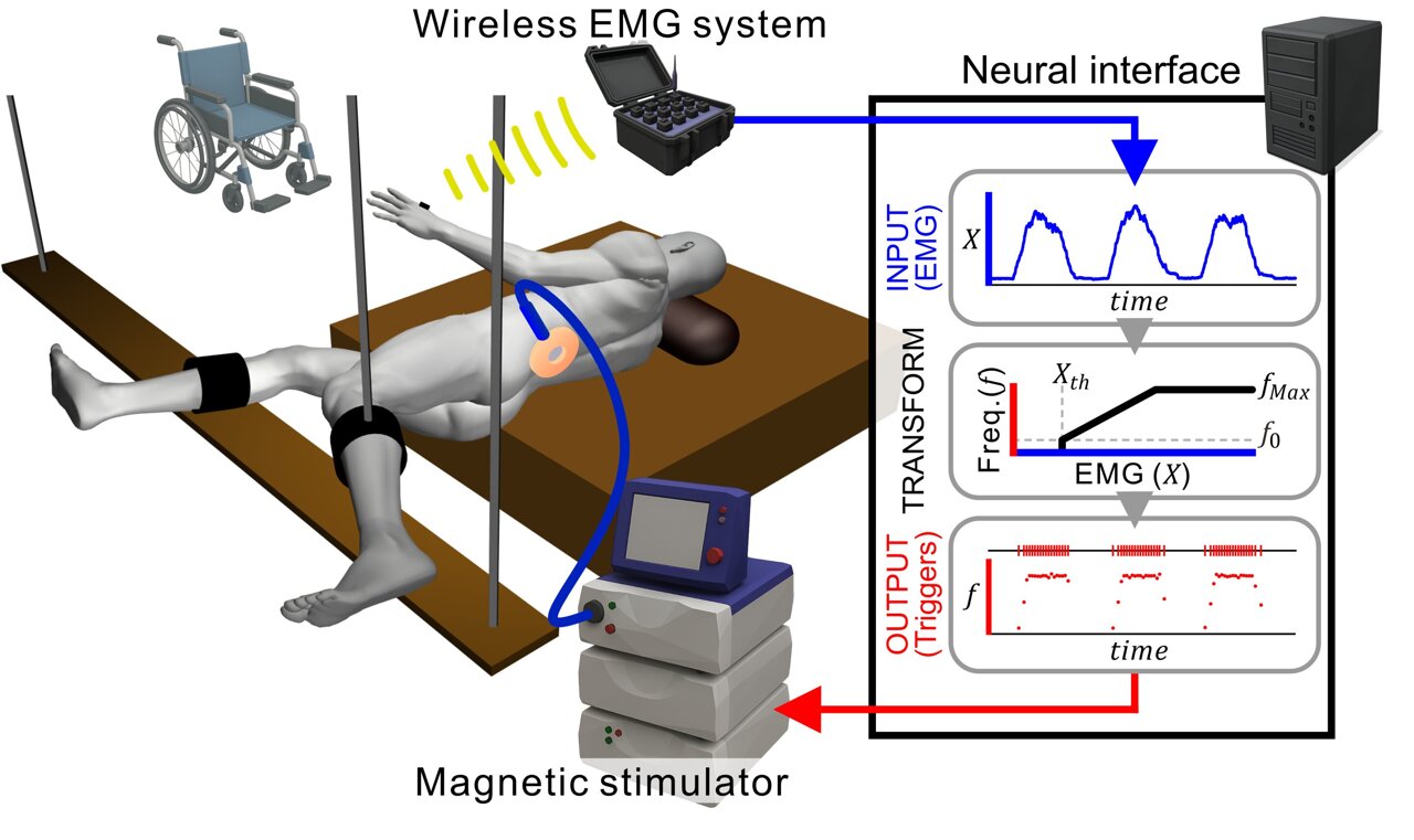 Non-invasive closed-loop spinal stimulation enables paraplegic patients ...