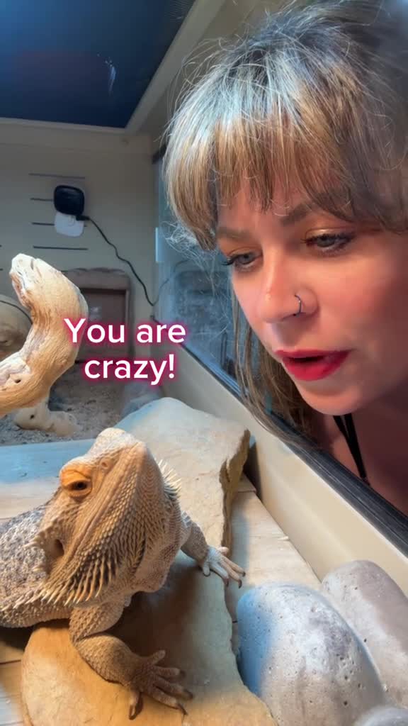 My Bearded Dragon Thinks I’m Crazy!