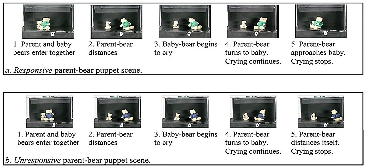 Babies begin forming expectations of their parents as early as the ...