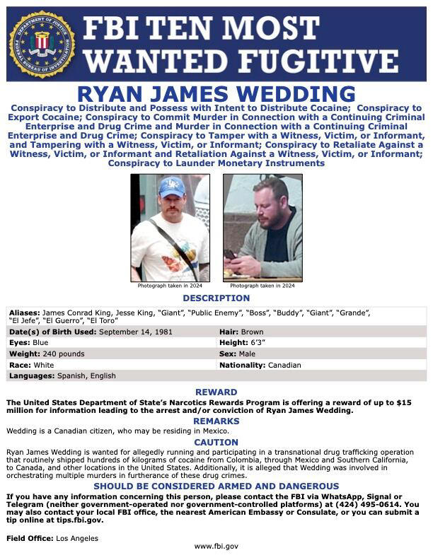 Canada opposes bail for alleged members of Ryan Wedding's drug ring ...