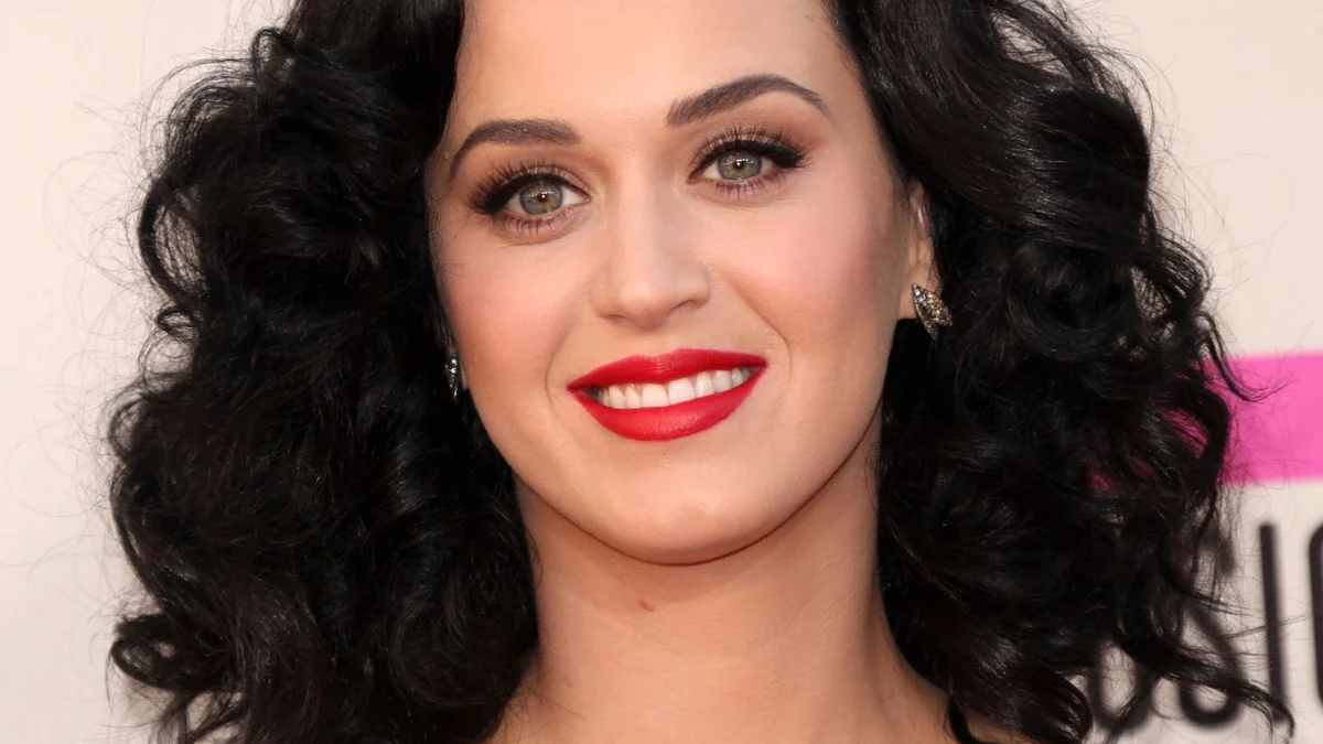 Katy Perry calls on fans to pressure senators over $10 billion ICE ...