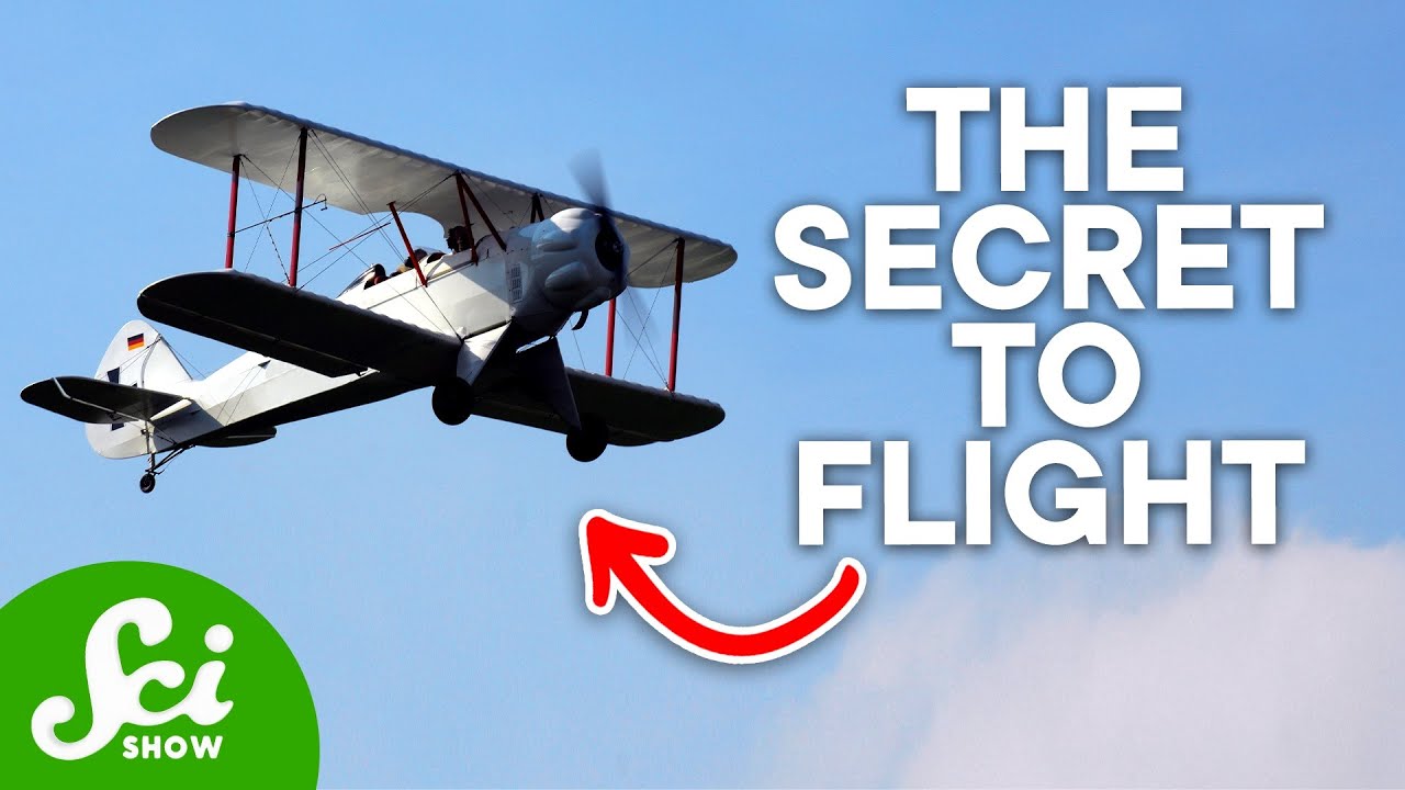 How the Wright brothers changed everything we know about flying
