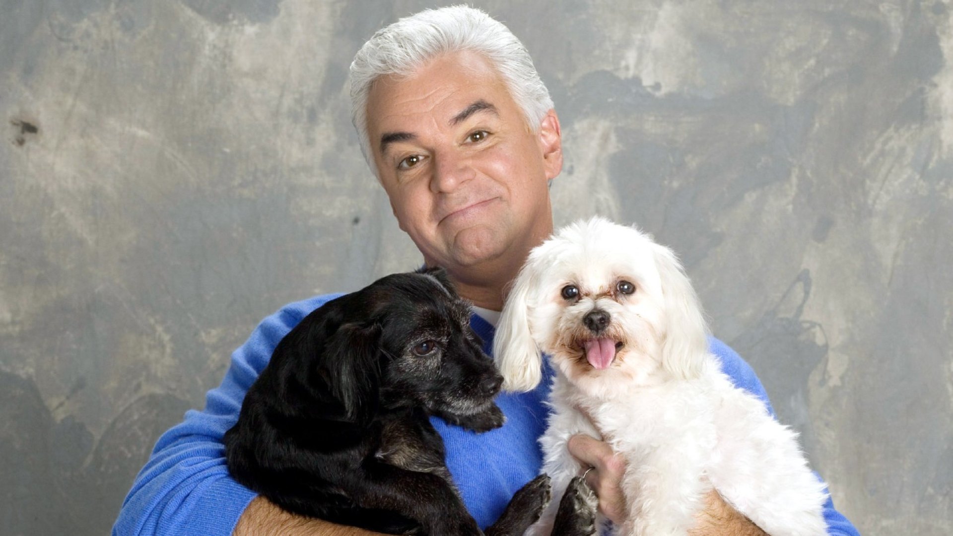 How to Watch the 2025 National Dog Show: Date, Time, Streamer, Dogs and ...