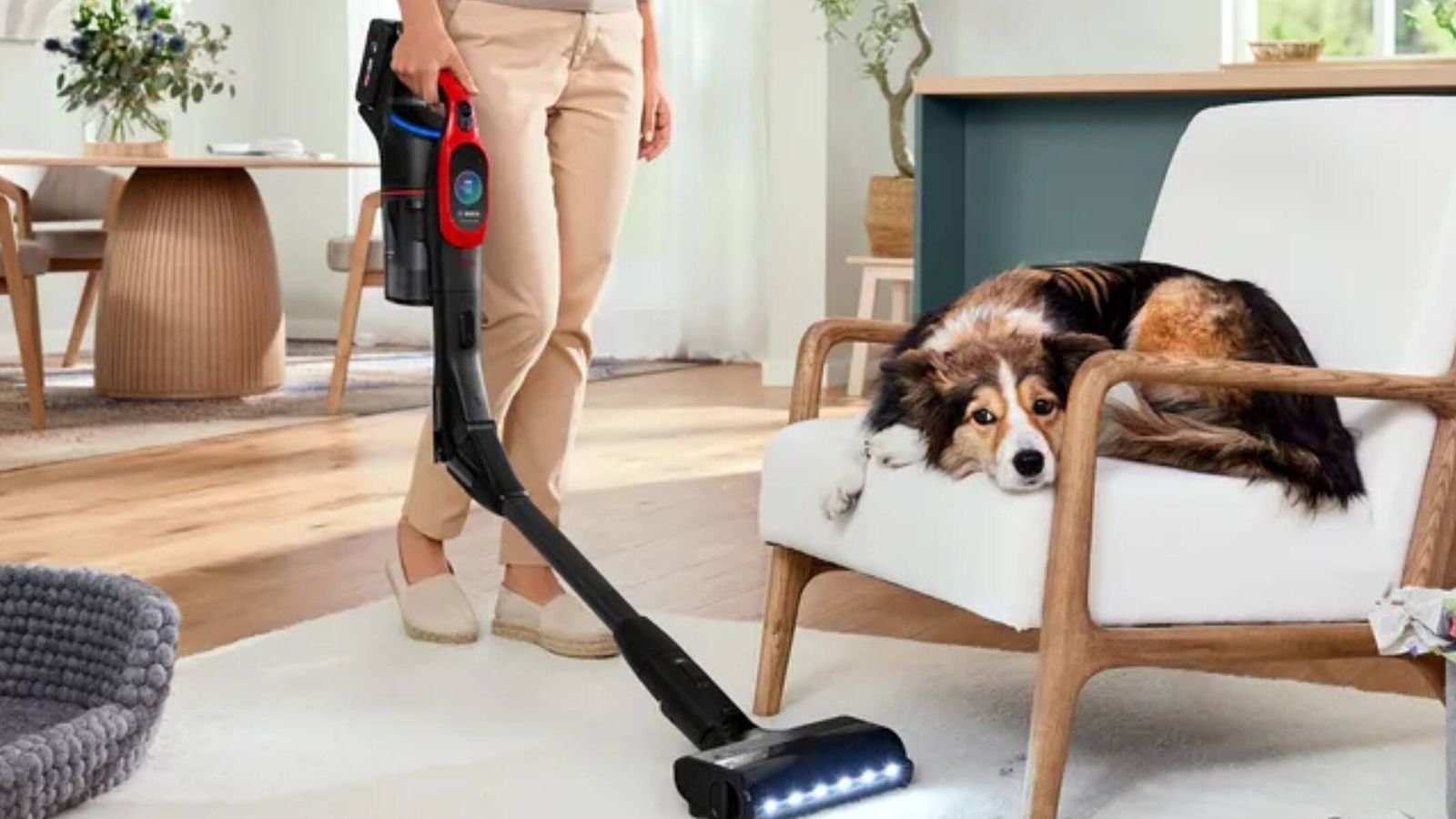 Limpieza rápida y eficaz: las aspiradoras sin cable Unlimited de Bosch ...