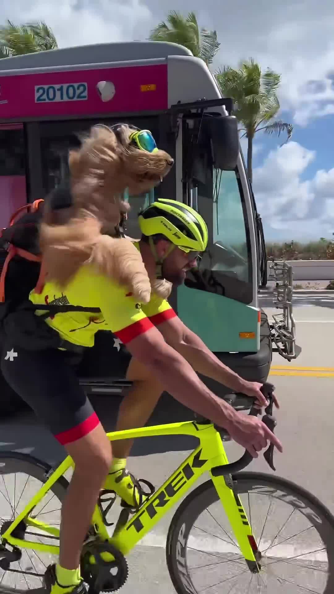 I can’t go anywhere without my dog tagging along… even bike rides. #dogdad #goldendoodle #cycling