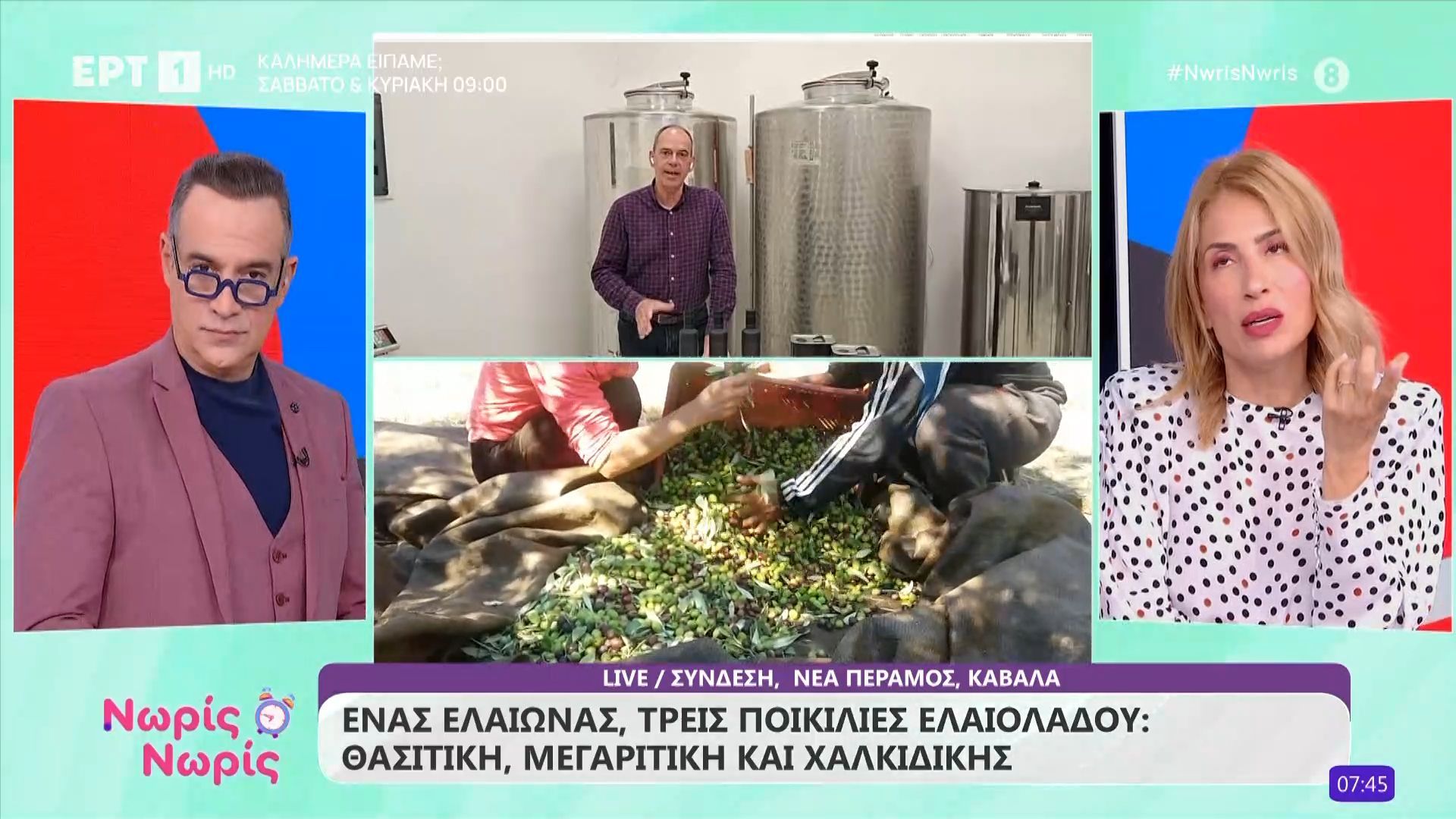 Λαζόπουλος κατά Άδωνι: «Κωλοτούμπα, λες «λεβέντες» τους Κρητικούς για ...
