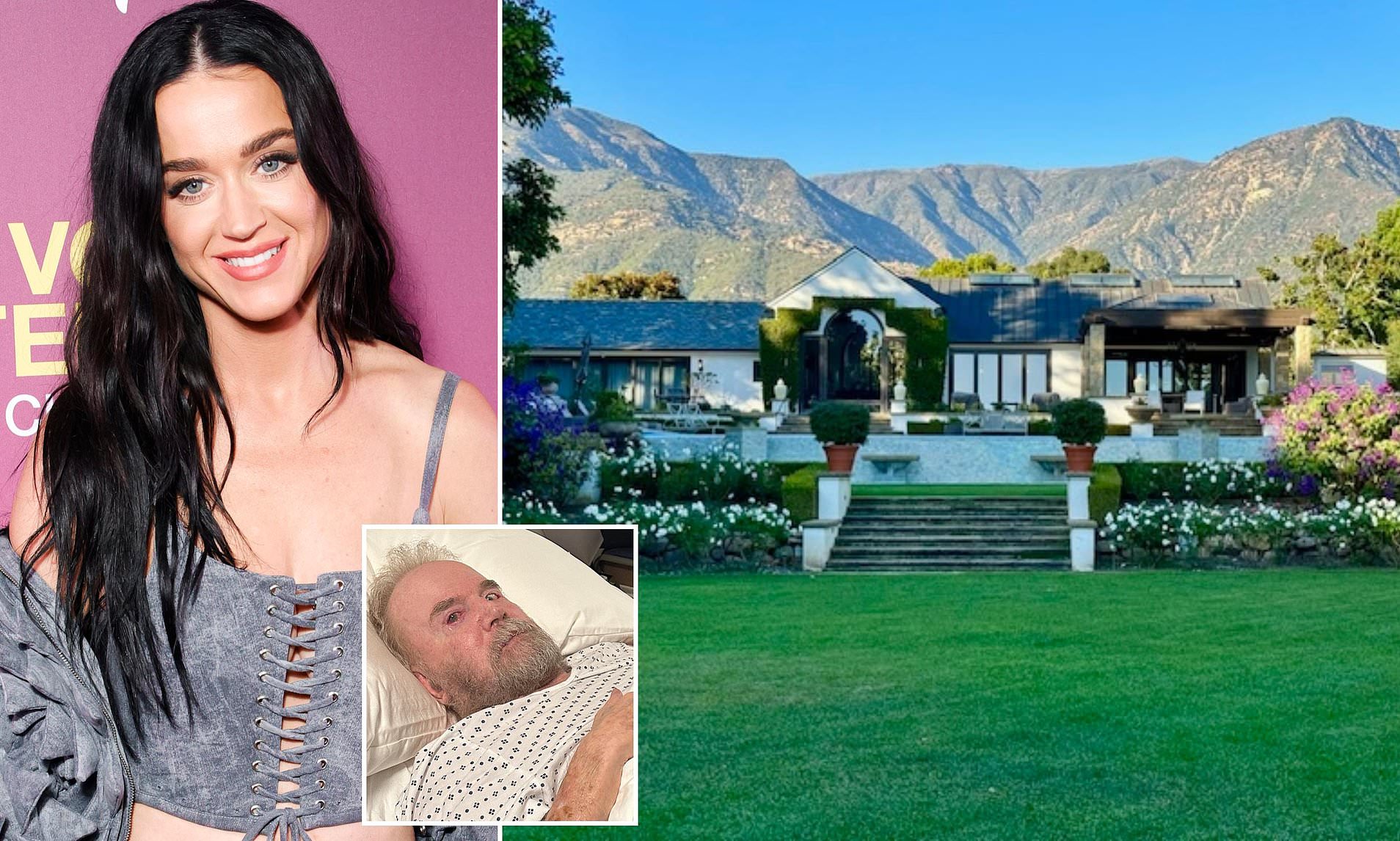 Katy Perry's legal victory as judge orders disabled veteran to pay ...