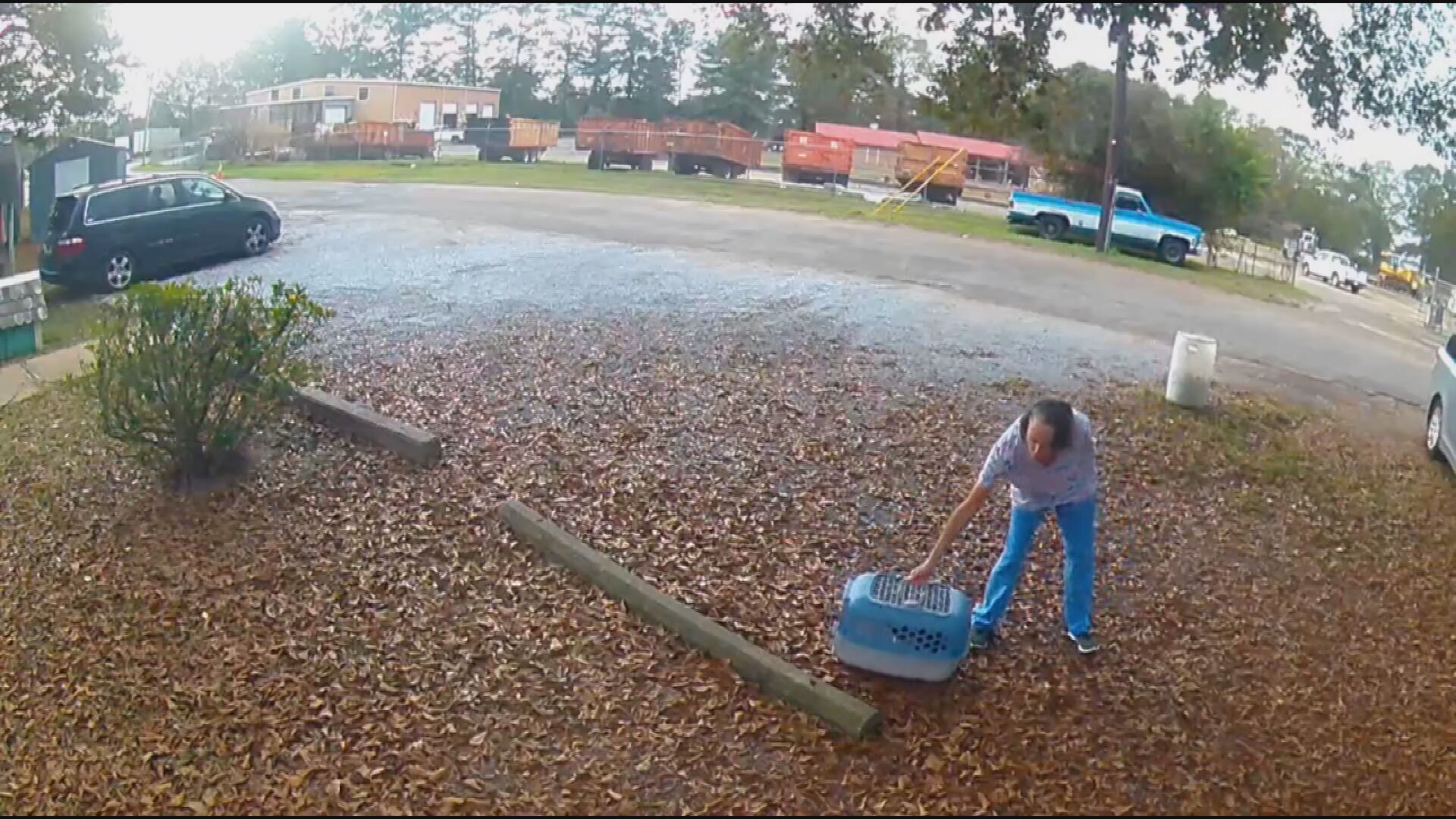 Woman caught on camera dumping dog at Laurel animal shelter