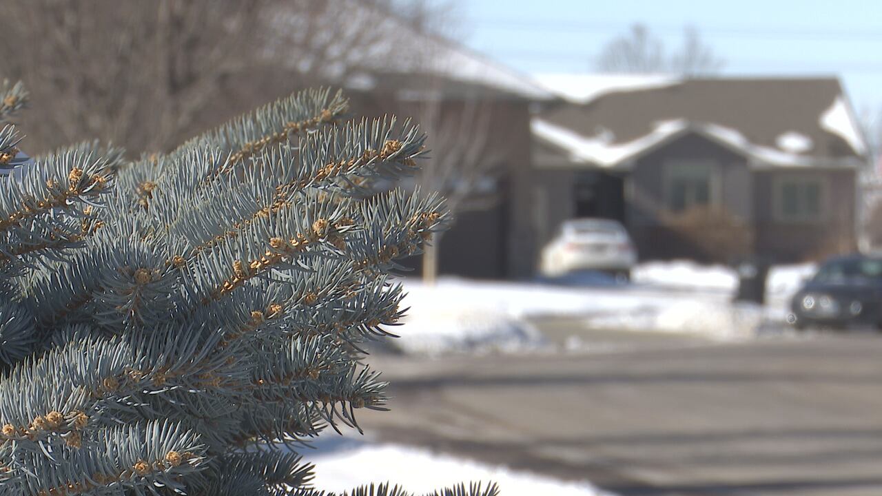 What you need to know about Seasonal Affective Disorder