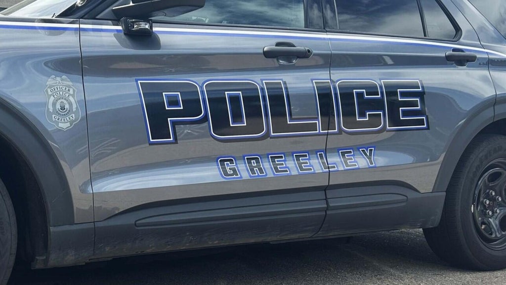 Woman dies in Colorado five days after being struck by underaged ...