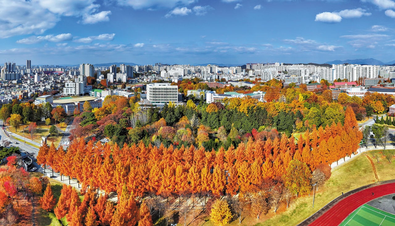 Autumn Foliage Peaks at Jeonnam National University