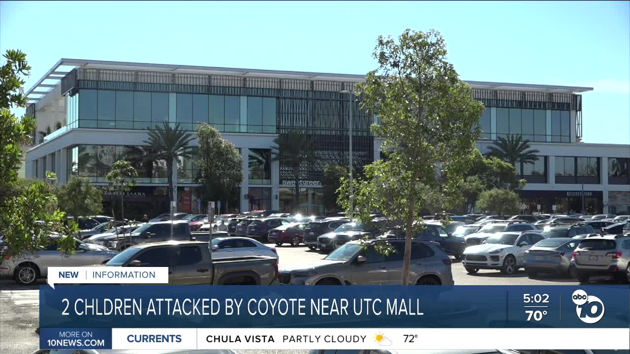 UPDATE: Wildlife officials say 2 children injured in coyote attack near ...