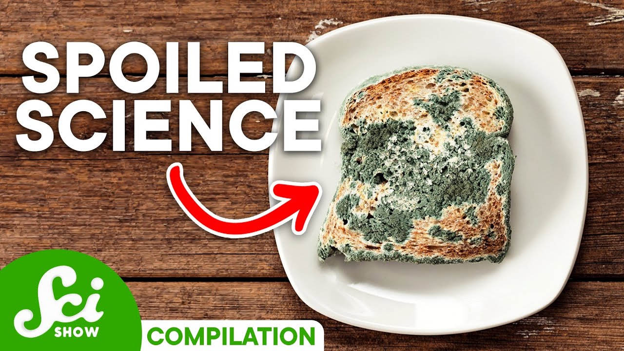 What happens when food goes bad?