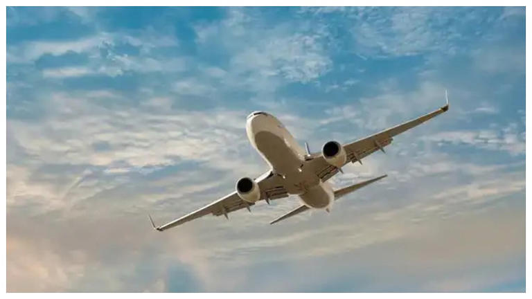 Pilots' Body ALPA India Accuses DGCA Of Using 'Incomplete' Rollout ...