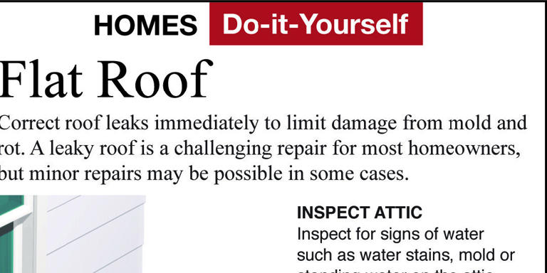 Find Leak and Fix Flat Roof